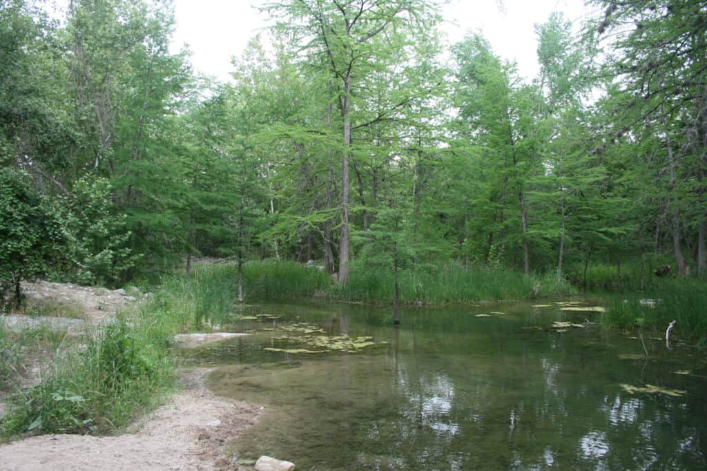 Krause Springs - TrekTexas