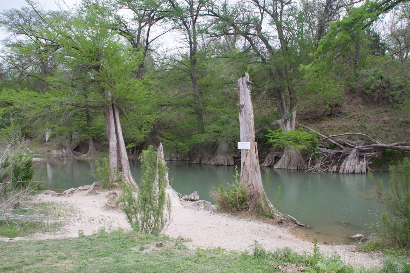 Bergheim Campground and River Outfitter - TrekTexas