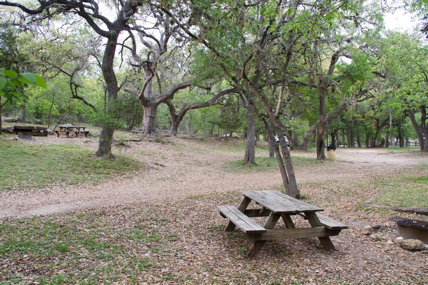 Bergheim Campground and River Outfitter - TrekTexas